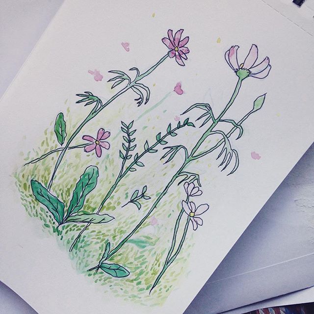 4 August – Elena Renn