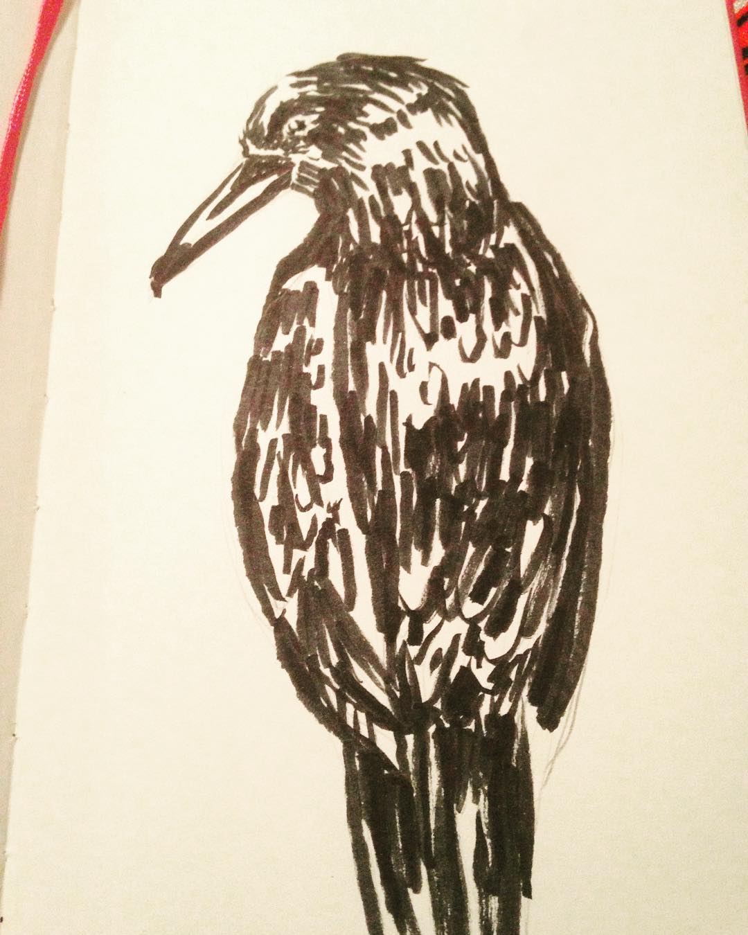 Inktober 2016, part 1 – Elena Renn